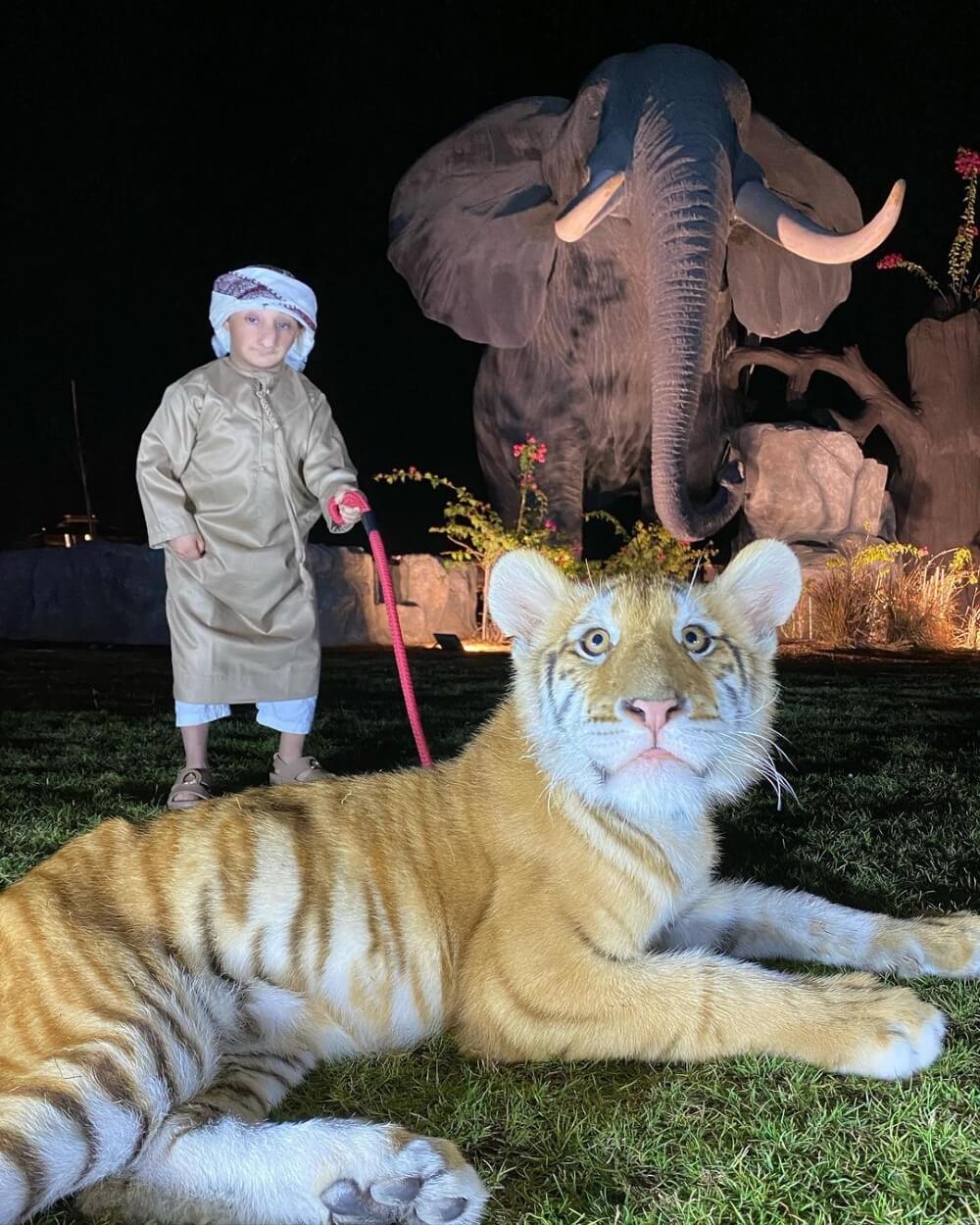 Aziz Alasmar Biography, Age, Child, Funeral, Family, Net Worth