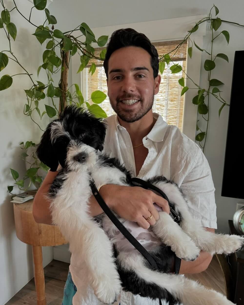 Ravi Abuvala Age, Net Worth, Height, Girlfriend, Parents