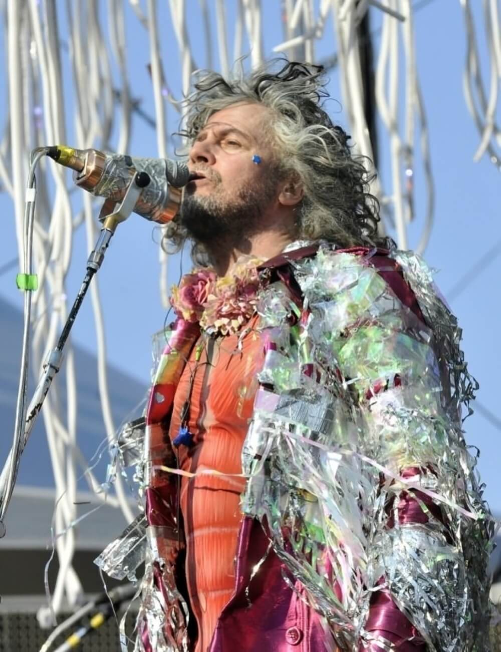 Wayne Coyne Age, Wife, Kids, Height, Net Worth, Song, Bio